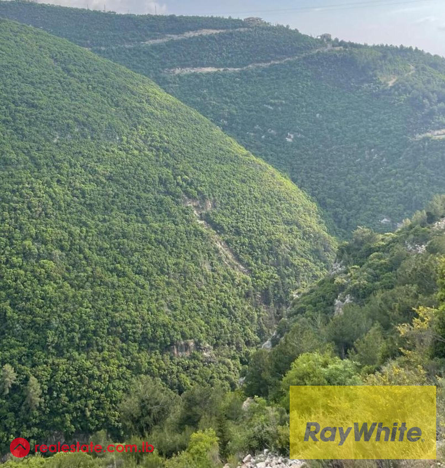 Land for Sale in Mastita-Blat with amazing mountain view and sea view ...