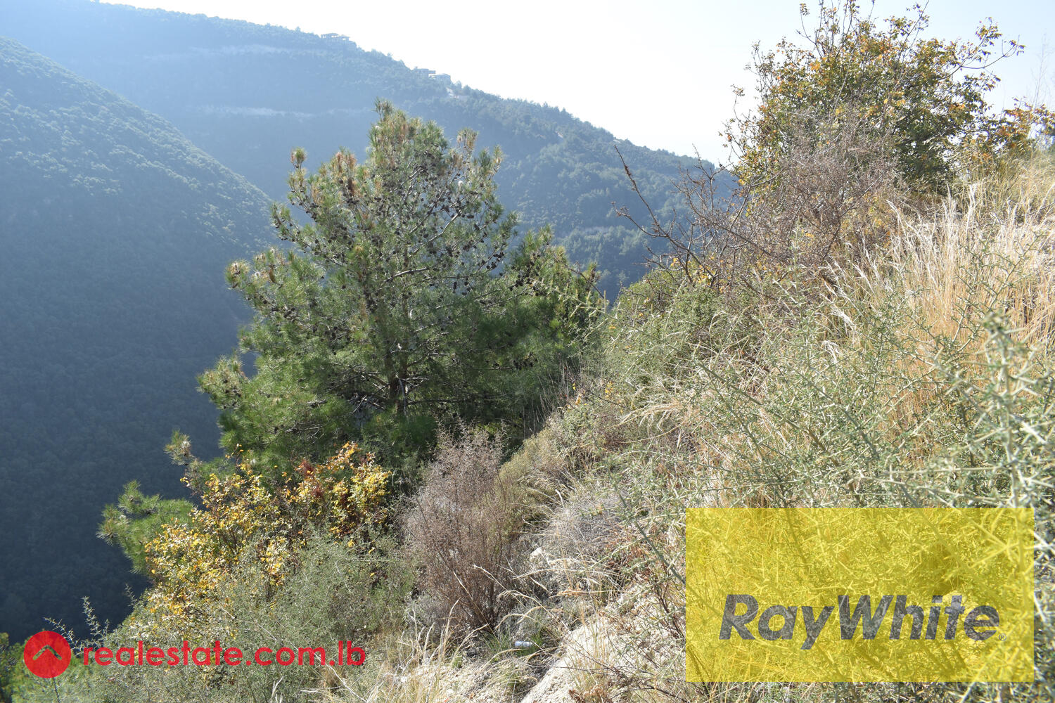 Land for Sale in Mastita-Blat with amazing mountain view and sea view ...
