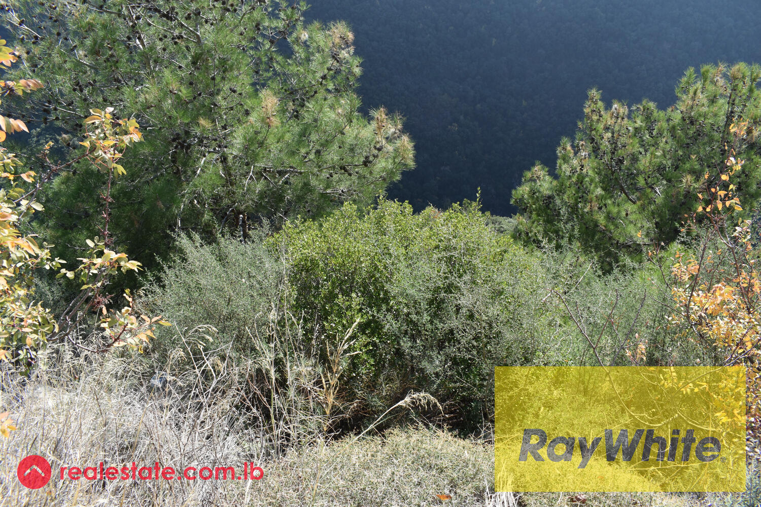 Land for Sale in Mastita-Blat with amazing mountain view and sea view ...