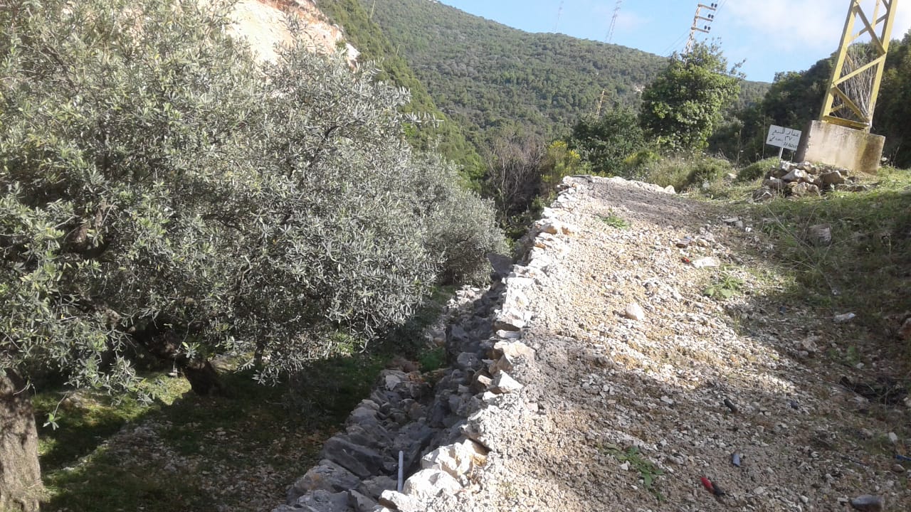 Land with an amazing view in Chabtine-Batroun is for SALE – Ray White ...