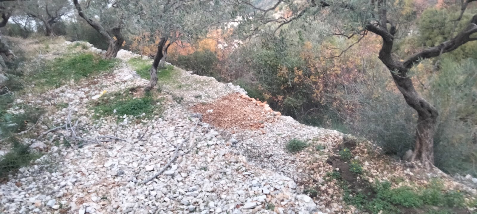 Land with an amazing view in Chabtine-Batroun is for SALE – Ray White ...
