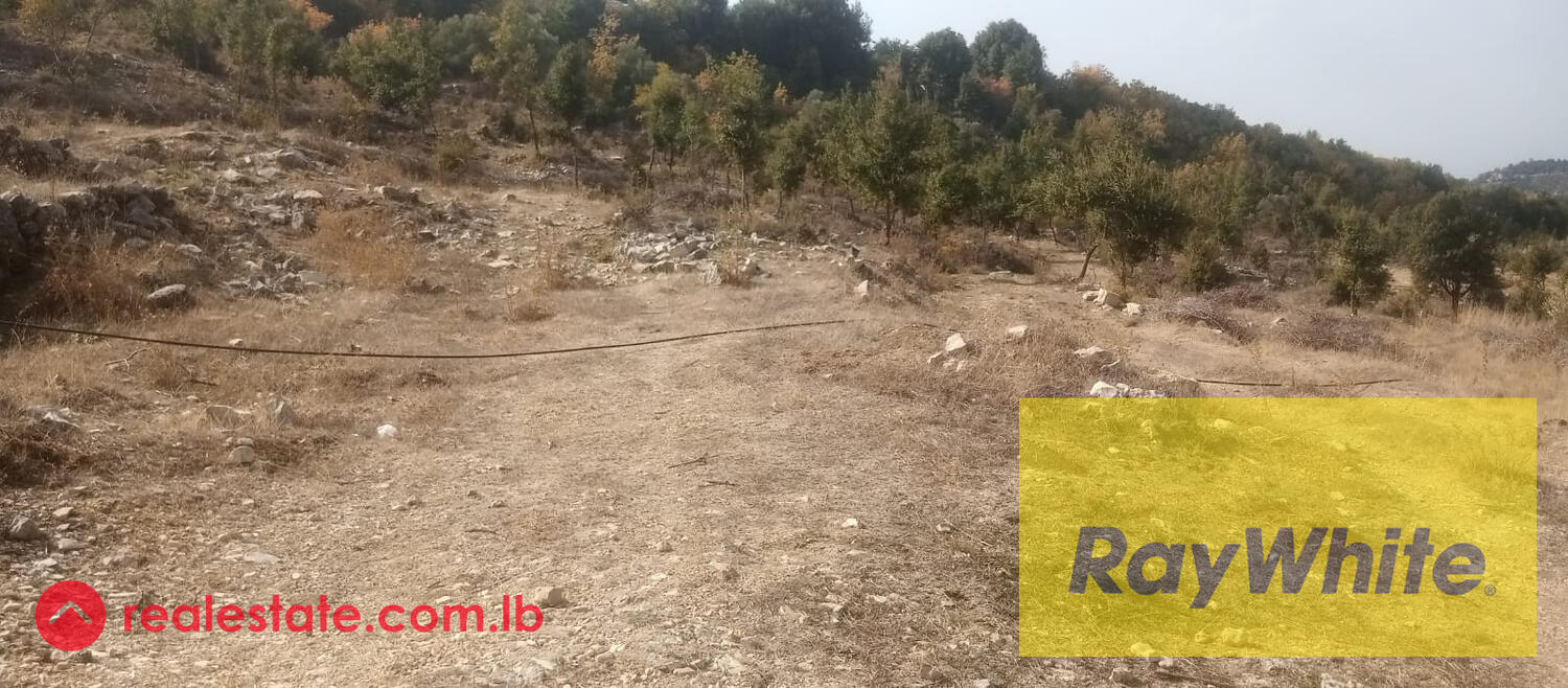 Prime location land in Mechmech with open mountains view. – Ray White International Lebanon
