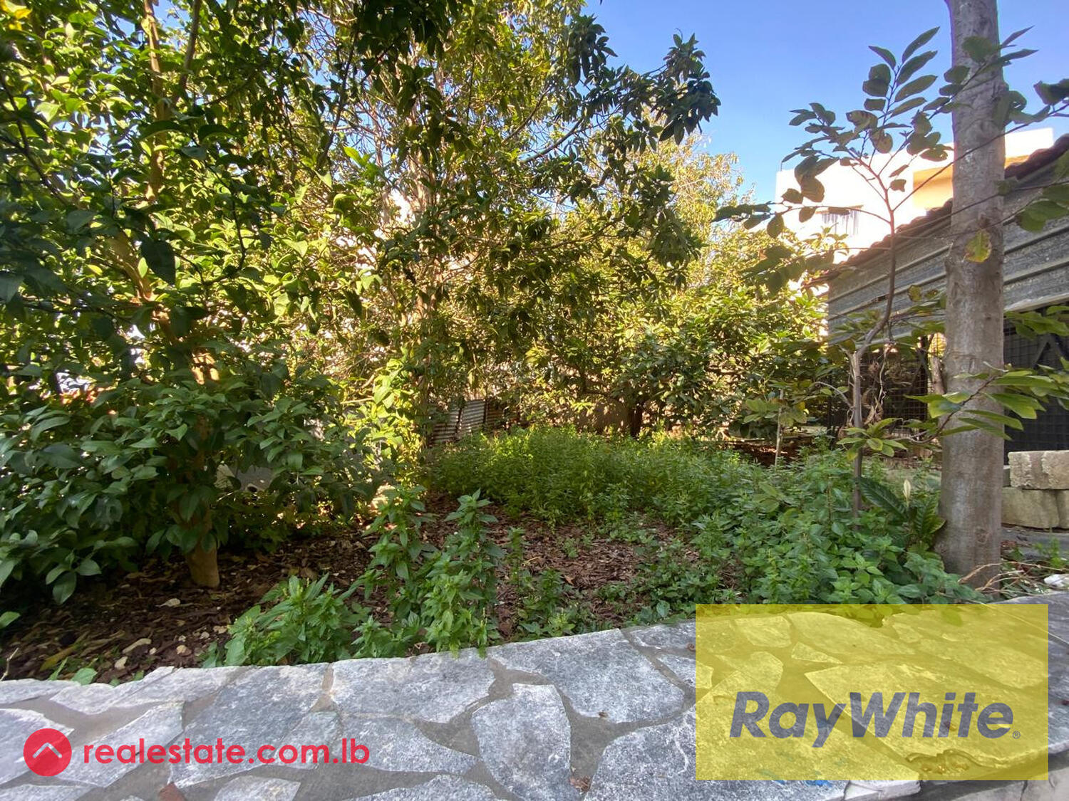 Stand-Alone House For Sale In Okaibe with SeaView – Ray White ...