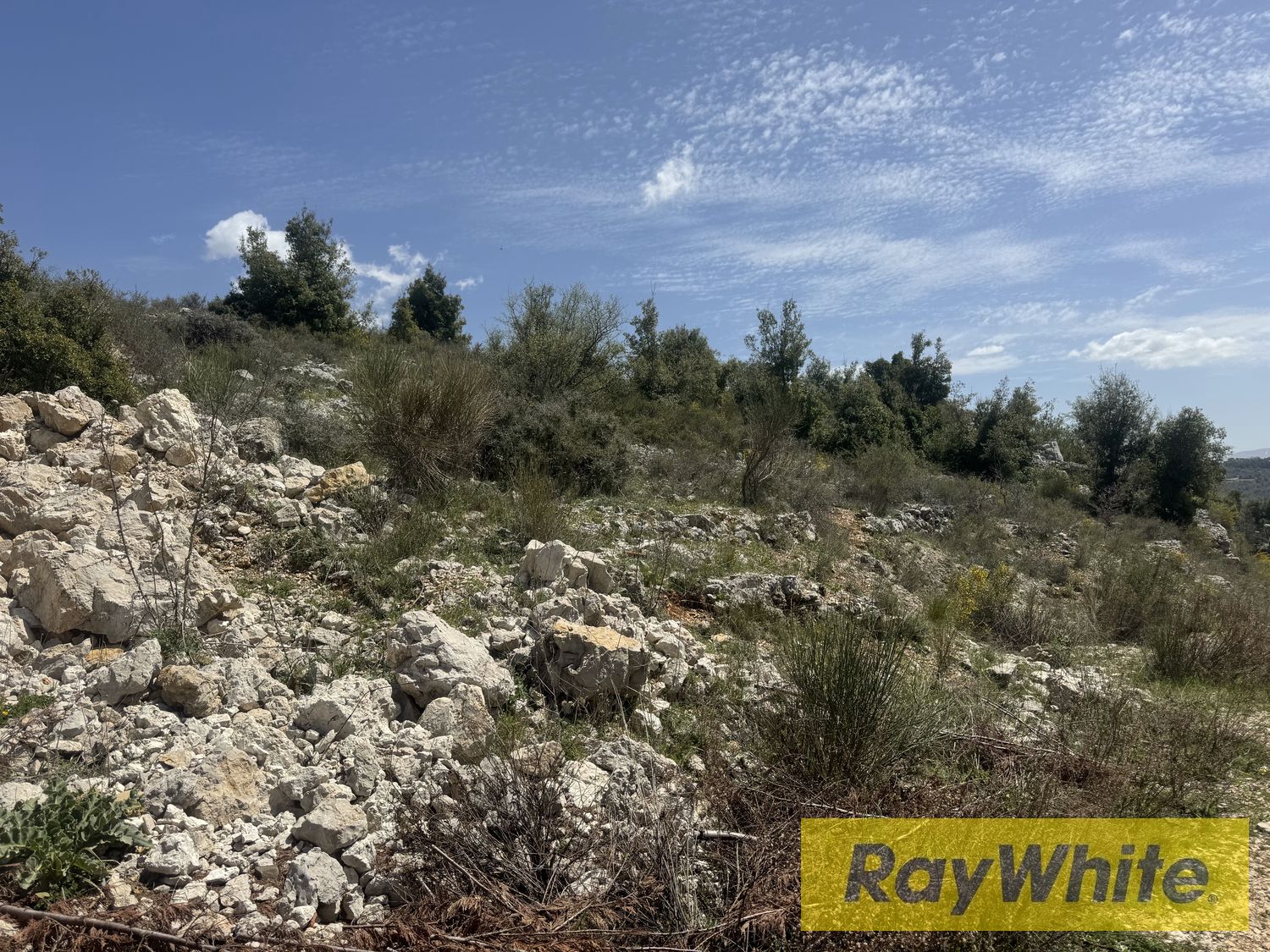 Land for sale nestled in the heart of Achkout – Ray White International ...