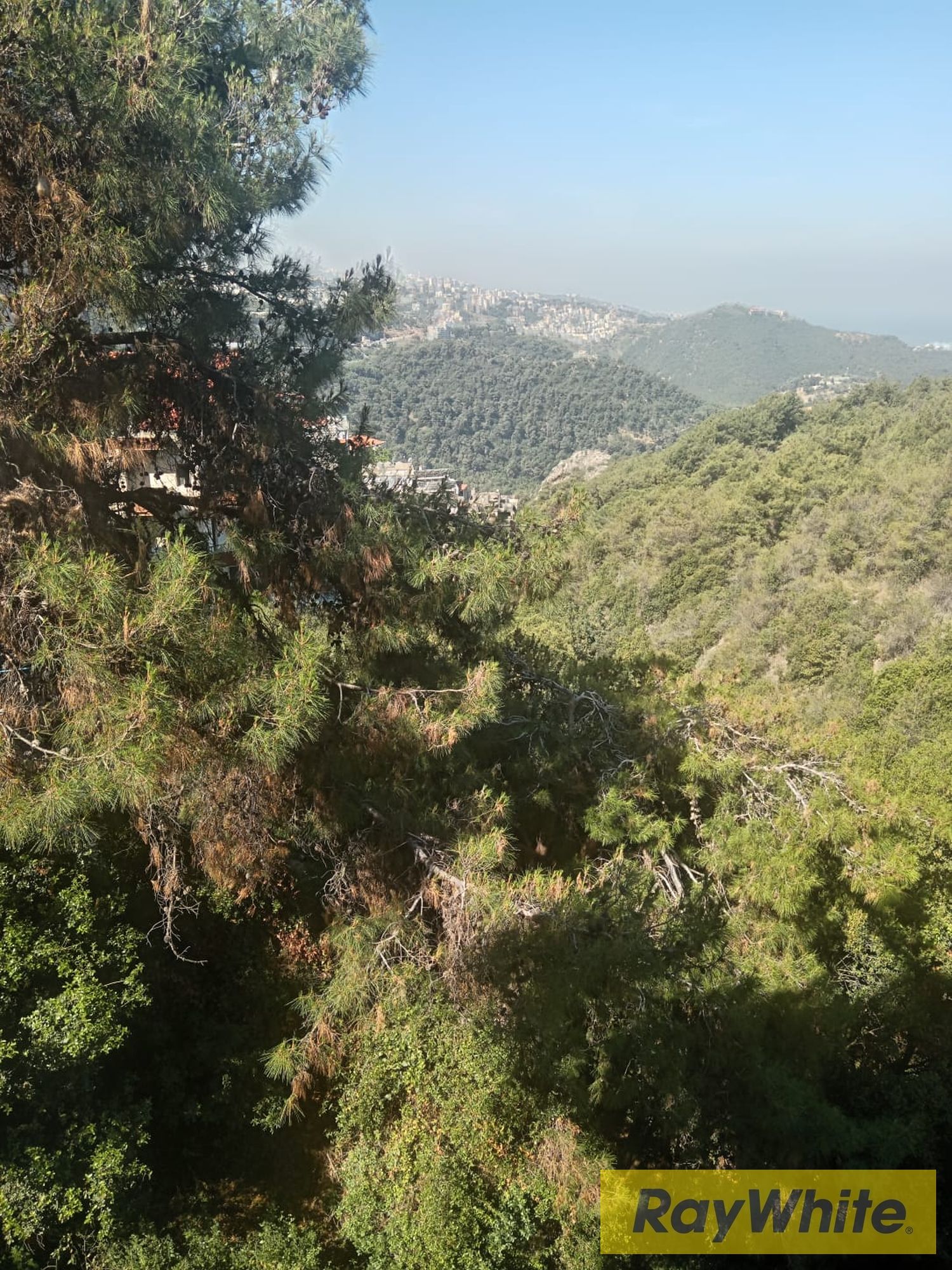 Land for Sale in Jeita With Panoramic View – Ray White International ...
