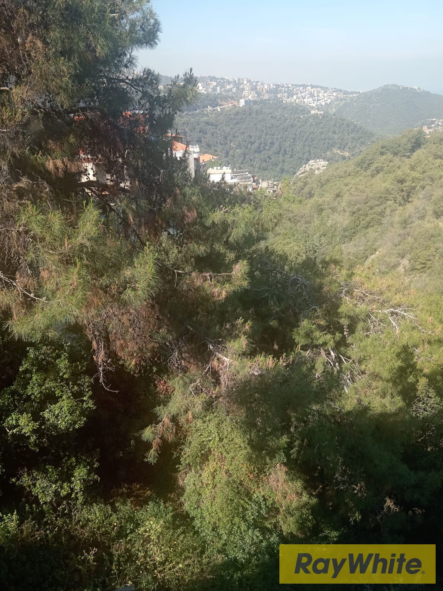 Land for Sale in Jeita With Panoramic View – Ray White International ...