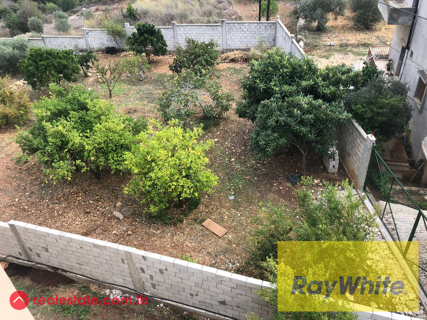 Land for sale in Jran Batroun – Ray White International Lebanon