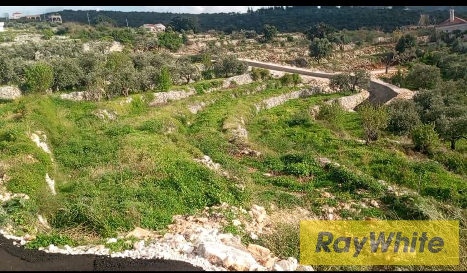 Land for sale in Kfar Abida Batroun – Ray White International Lebanon