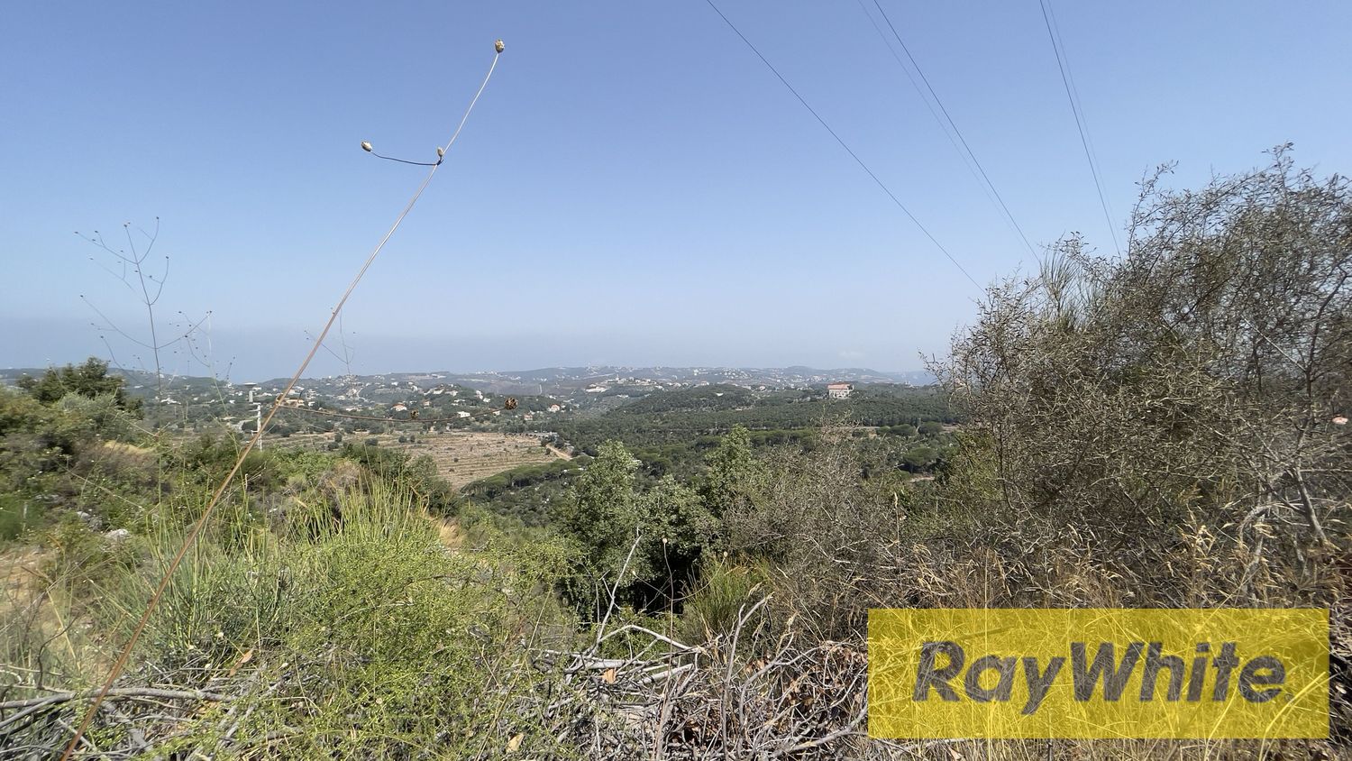 Land for sale in Kfifane Batroun – Ray White International Lebanon