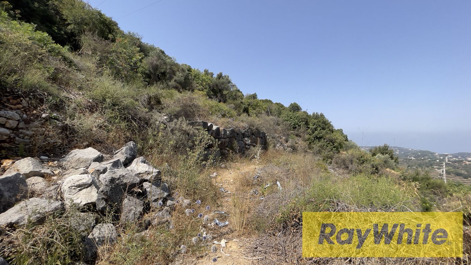 Land for sale in Kfifane Batroun – Ray White International Lebanon