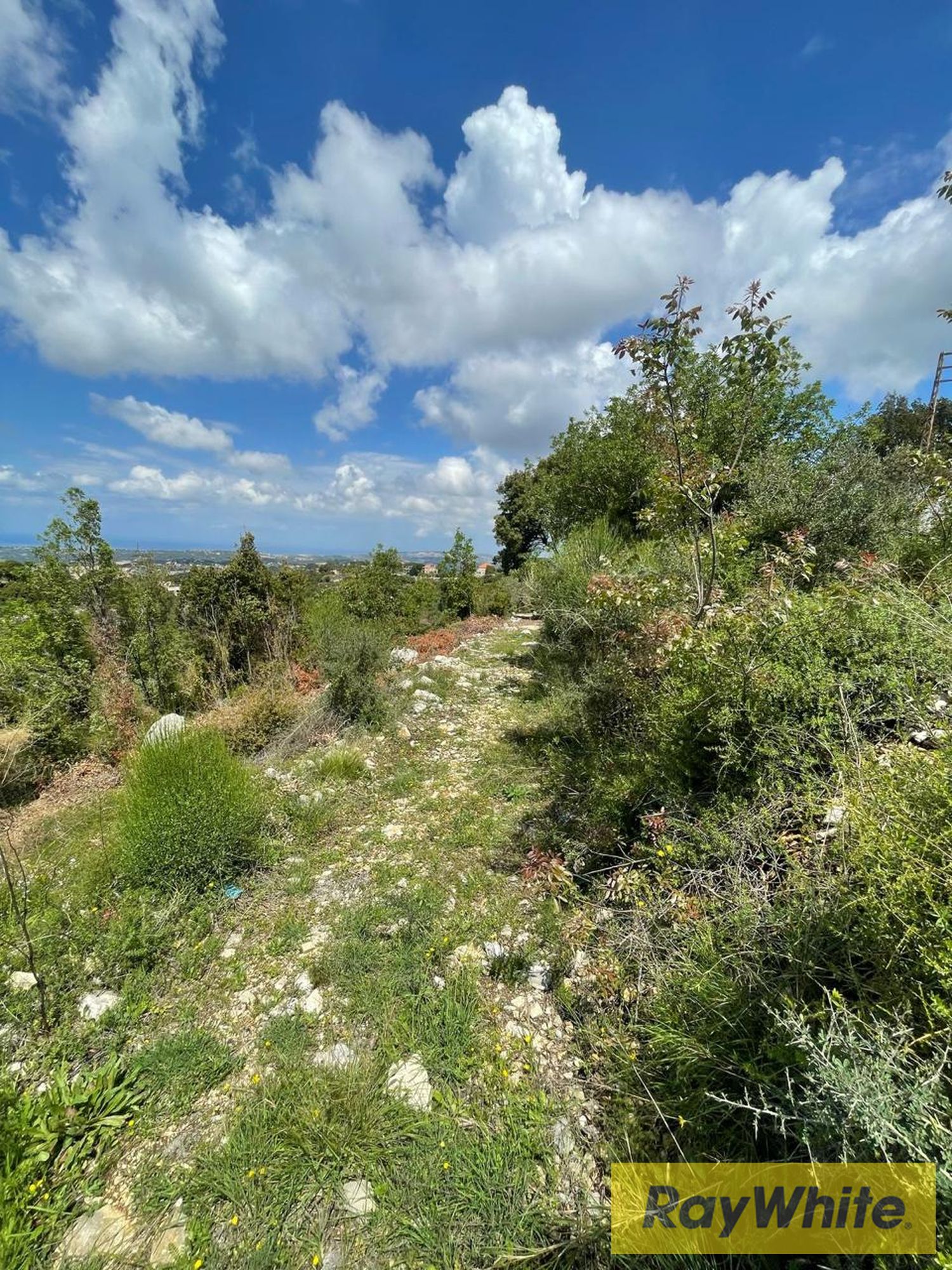 Land for sale in Zein Batroun – Ray White International Lebanon