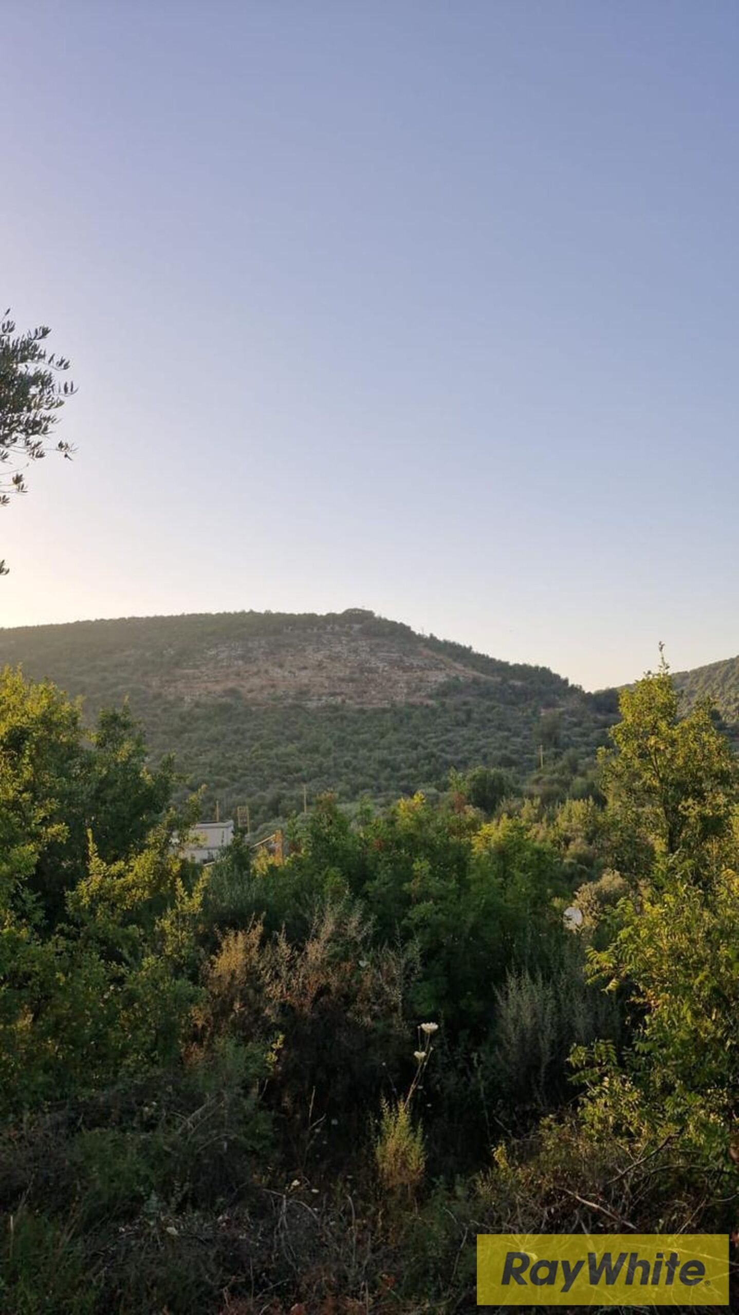 Land for sale in Chabtine Batroun – Ray White International Lebanon
