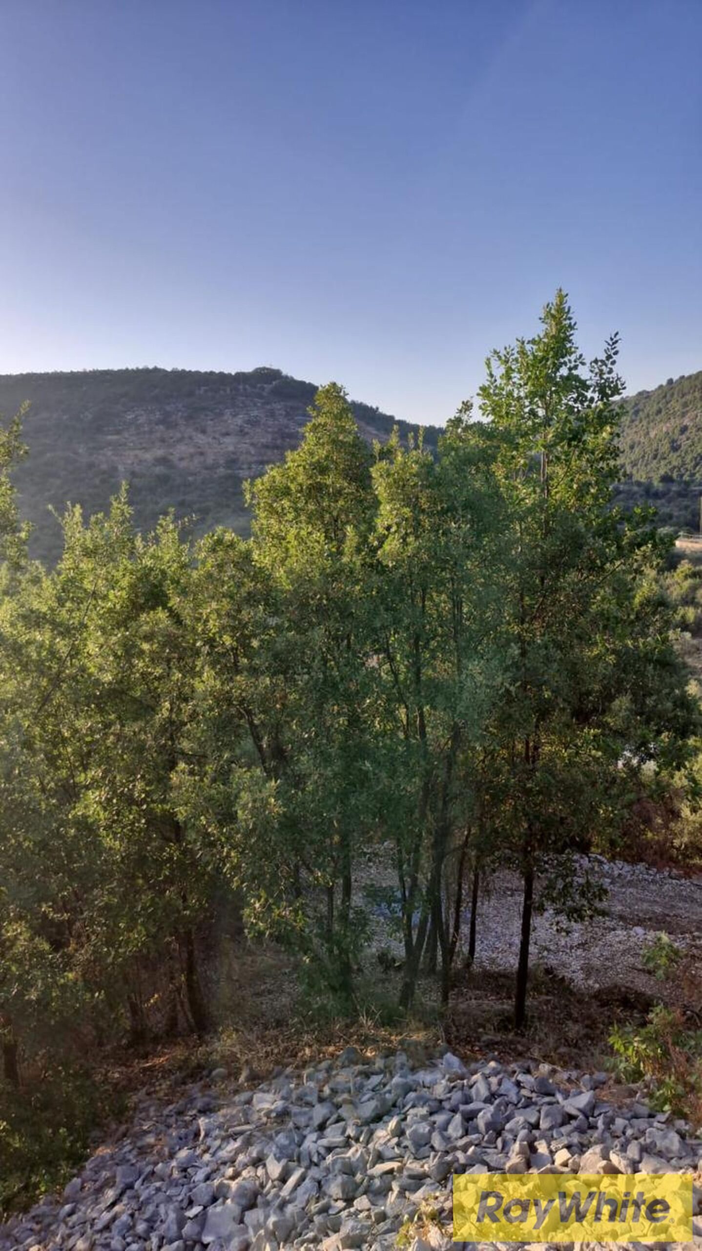 Land for sale in Chabtine Batroun – Ray White International Lebanon