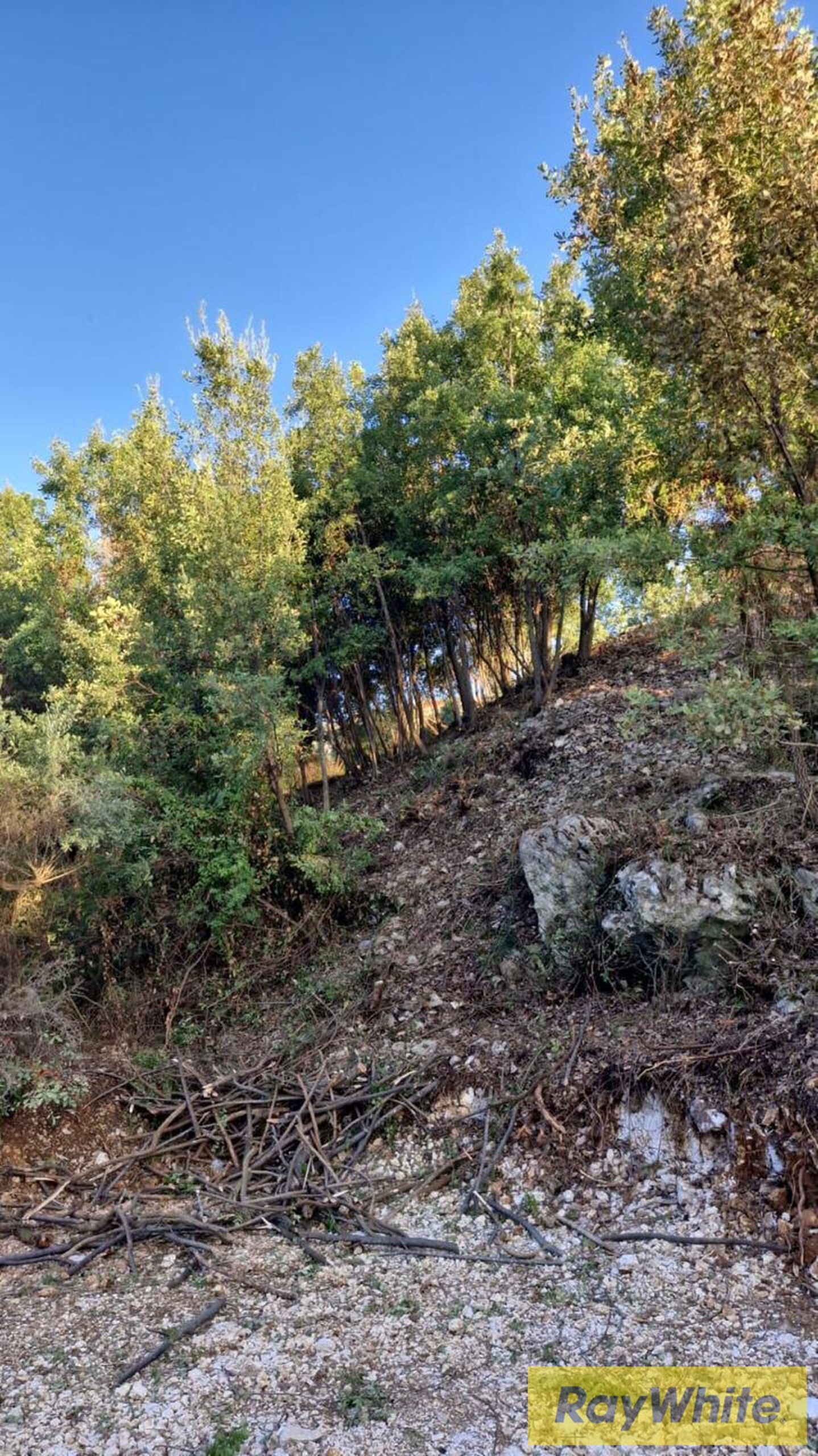 Land for sale in Chabtine Batroun – Ray White International Lebanon