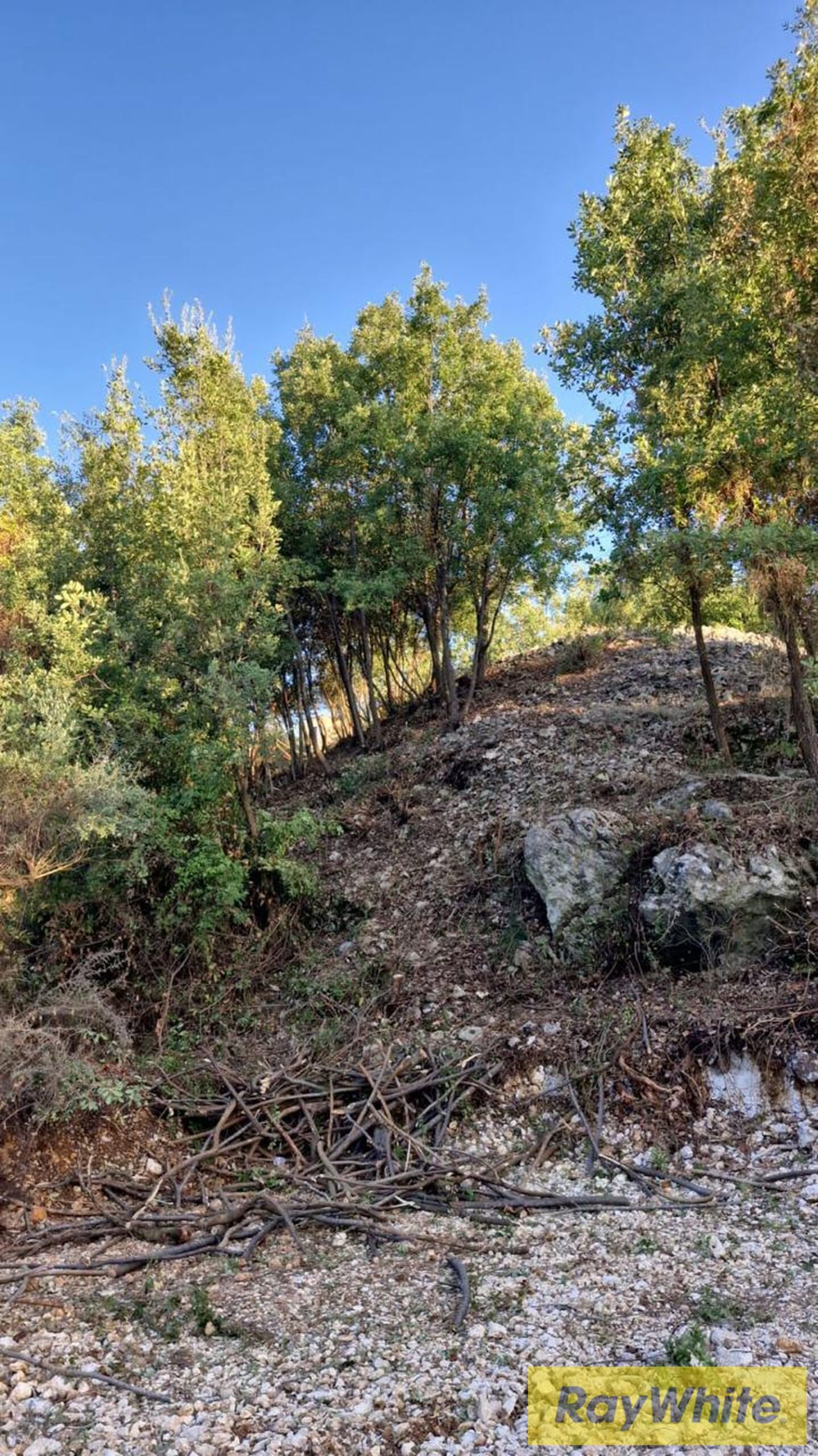 Land for sale in Chabtine Batroun – Ray White International Lebanon